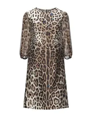 Dolce & Gabbana Mini Dress With Leopard Print