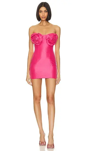 Nbd Tacy Mini Dress