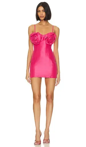 Nbd Tacy Mini Dress