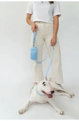 SPRINGER Dog Walk Starter Set - Sky Blue