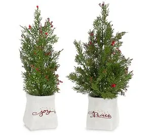 MELROSE Mini Pine Tree With Berries In Ceramic T - One-color