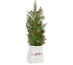 MELROSE Mini Pine Tree With Berries In Ceramic T