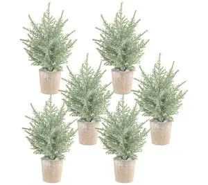 MELROSE Frosted Holiday Pine Tree In Paper Pot Et Of 6 - One-color