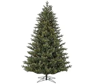VICKERMAN 6.5' Welch Fraser Fir Artificial Chri Stmas Tree Ww - One-color