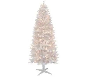 PULEO INTERNATIONAL Puleo 6' Pre-lit White Carson Artificial Pine Tree - One-color