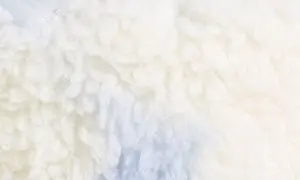 Roxy X Chloe Kim In The Clouds Fleece Bucket Hat