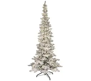 PULEO INTERNATIONAL Puleo 6.5' Pre-lit Flocked Whistler Artificial Ine Tree - One-color