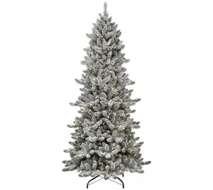 PULEO INTERNATIONAL Puleo 6.5' Pre-lit Slim Flocked Royal Majestic Pruce Tree - One-color