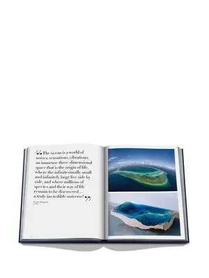 Assouline Ocean Wanderlust Book - Blue