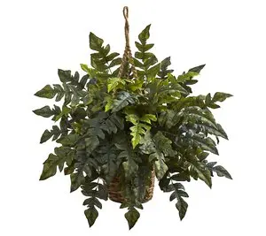 NEARLY NATURAL Holly Fern Hanging Basket By - One-color