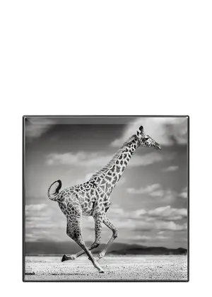 CHANTECAILLE Luminescent Eye Shades - Giraffe