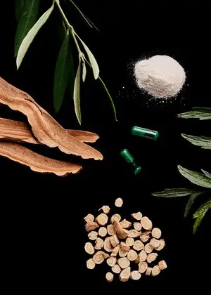 WELLECO The Immune Elixir