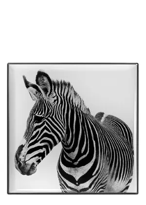 CHANTECAILLE Luminescent Eye Shade - Zebra