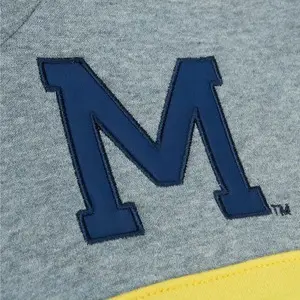 Mitchell & Ness Michigan Wolverines Head Coach Pullover Hoodie