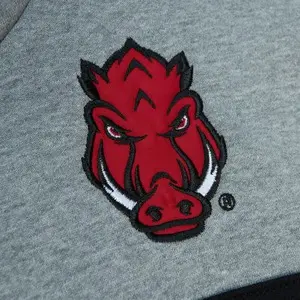 Mitchell & Ness Arkansas Razorbacks Head Coach Pullover Hoodie