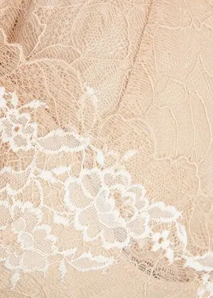 Wacoal Lace Perfection Push-up Bra
