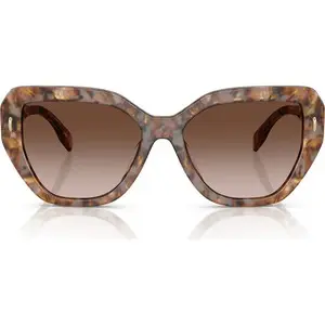 Tory Burch 55mm Cat Eye Sunglasses Tortoise