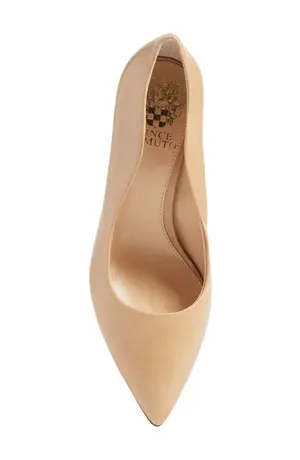 Vince Camuto Jaynita Pointy Toe Pump