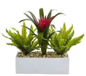 NEARLY NATURAL Bromeliad And Birdsnest In Planter Nearly Na Tural - One-color