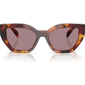 Prada Prada 55mm Butterfly Sunglasses Brown Tortoise
