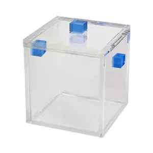 TIZO Clear Ice Bucket - No Color