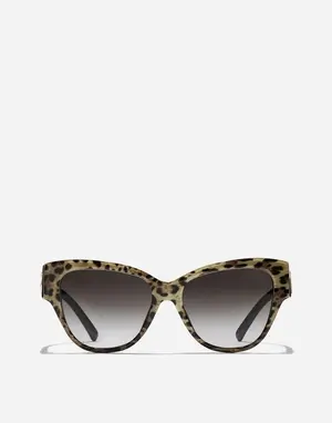 Dolce & Gabbana Logo Sunglasses - Brown