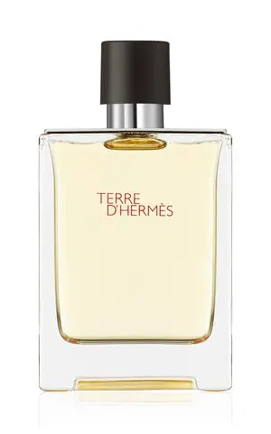 HERMÈS BEAUTY Terre D'hermès Eau De Toilette - N,a