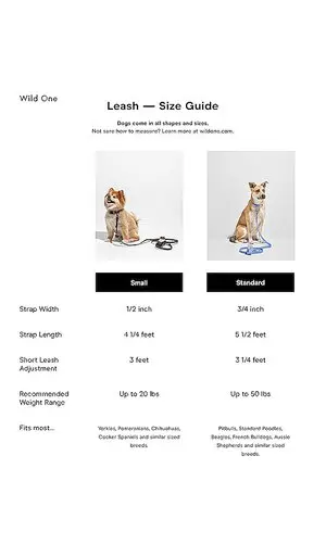 WILD ONE Leash In Lavender