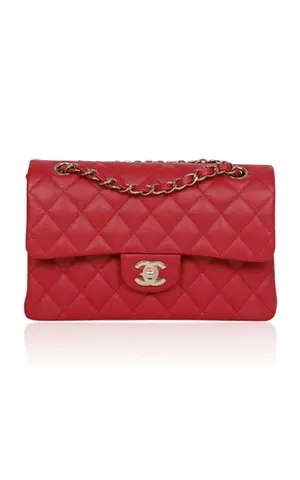 Chanel Pre-owned Small Classic Double Flap Shoulder Bag
