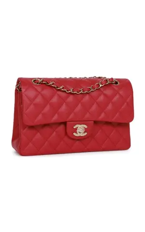 Chanel Pre-owned Small Classic Double Flap Shoulder Bag