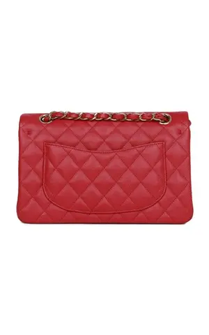 Chanel Pre-owned Small Classic Double Flap Shoulder Bag