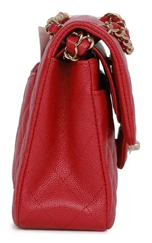 Chanel Pre-owned Small Classic Double Flap Shoulder Bag