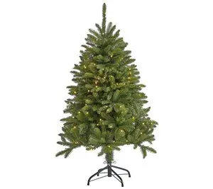 NEARLY NATURAL 4' Sierra Spruce Lit Christmas T Ee - One-color