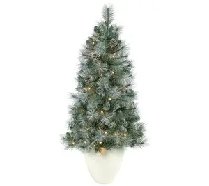 NEARLY NATURAL 50' British Columbia Pine Lit Ch Istmas Tree - One-color