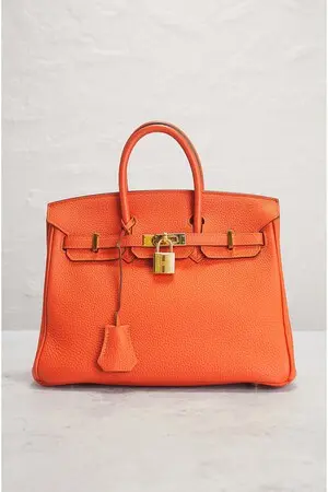 Hermès Chevre Birkin 25 Handbag - Feu Orange