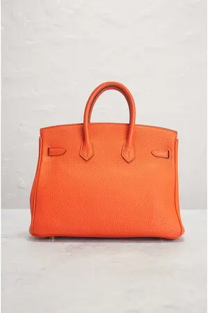 Hermès Chevre Birkin 25 Handbag - Feu Orange