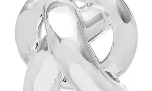 Estée Lauder Knot Stud Earrings