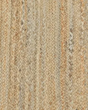 TIMELESS RUG DESIGNS Transitional Jute Avi Area Rug, 10' X 14