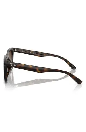Ray-ban 65mm Oversized Square Sunglasses - Havana