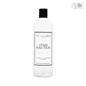 THE LAUNDRESS Fragrance Free Stain Solution - No Color