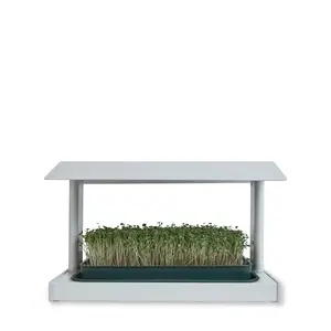 LEATH The Fieldhouse Microgreen Grow System