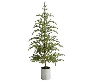 NEARLY NATURAL 20-in Cedar Pine Tree In Decorat Ve Planter - One-color