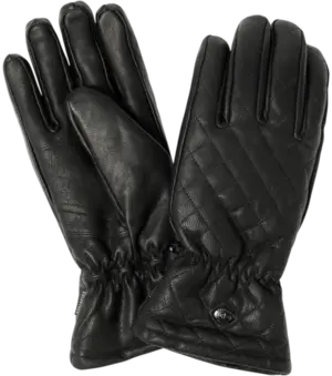 Goldbergh Nishi Leather Ski Gloves - Black