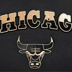PRO STANDARD Chicago Bulls Glam Cropped Pullover Sweatshirt