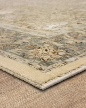 KARASTAN Divina Virtuous Runner Area Rug, 2'6 X 7'10