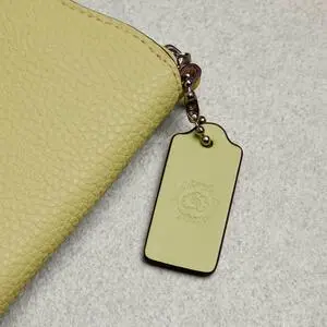 COACHTOPIA Zip Around Wallet In Leather