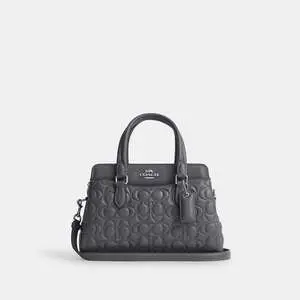 COACH OUTLET Mini Darcie Carryall With Signature - Grey