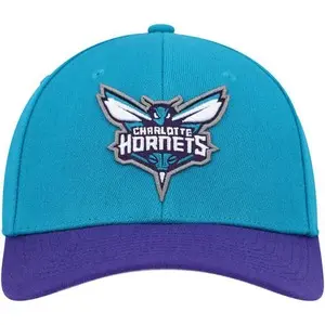 Mitchell & Ness Purple Charlotte Hornets Mvp Team Two-tone 2.0 Stretch-snapback Hat