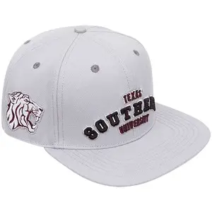 PRO STANDARD Texas Southern Tigers Evergreen Southern Snapback Hat - Gray
