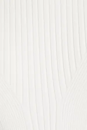 Herve Leger Ribbed-knit Mini Dress